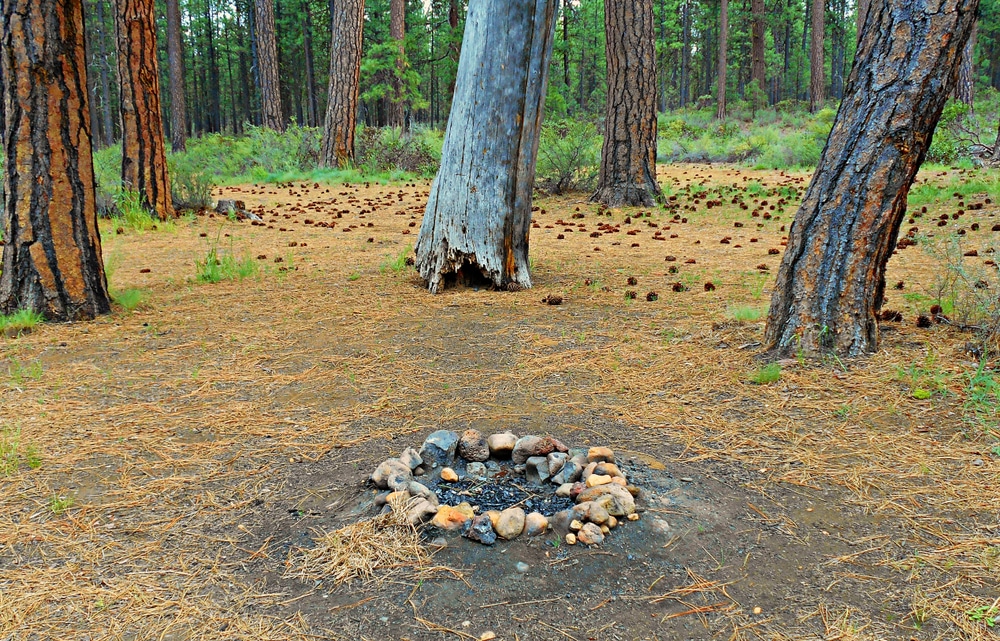 Primitive Camping in a Nutshell: The Whys, Whats, and Hows | RVLBO